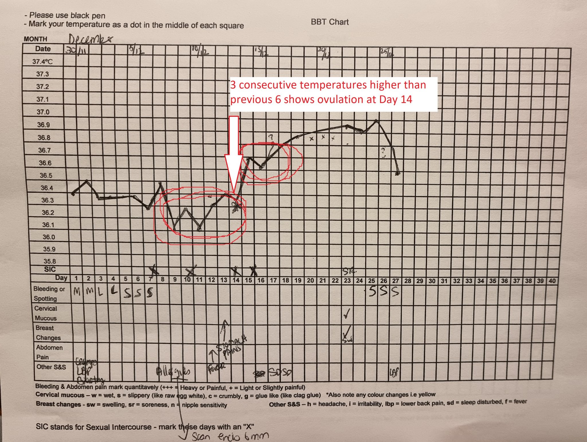 How to use a BBT chart to help you fall pregnant | Point Specifics